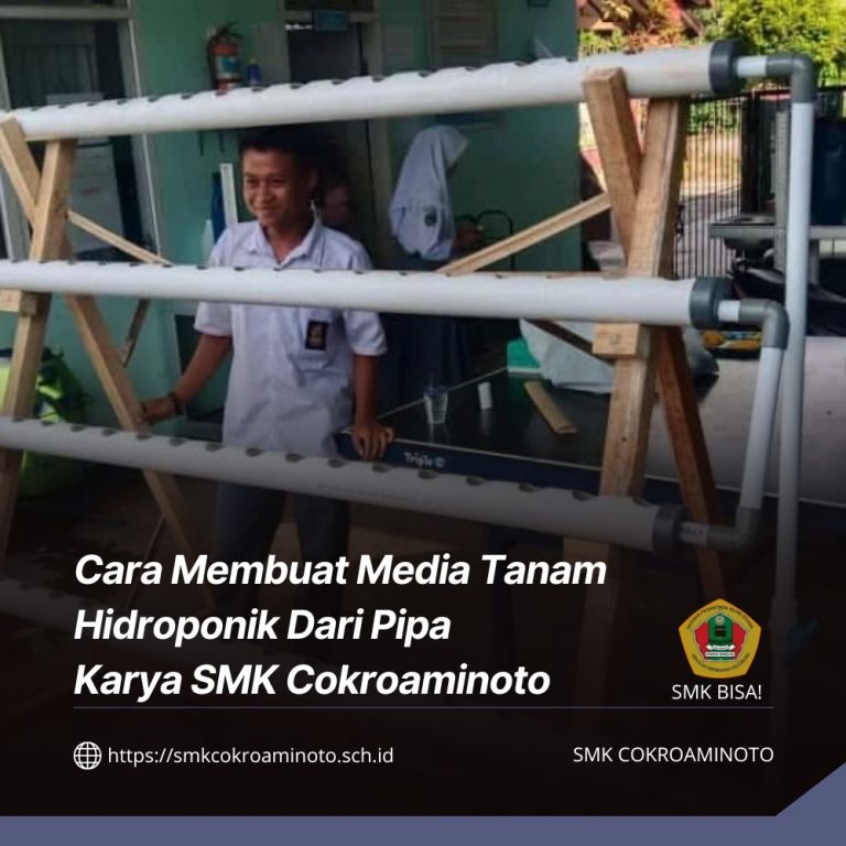Cara Membuat Media Tanam Hidroponik Dari Pipa - SMK COKROAMINOTO
